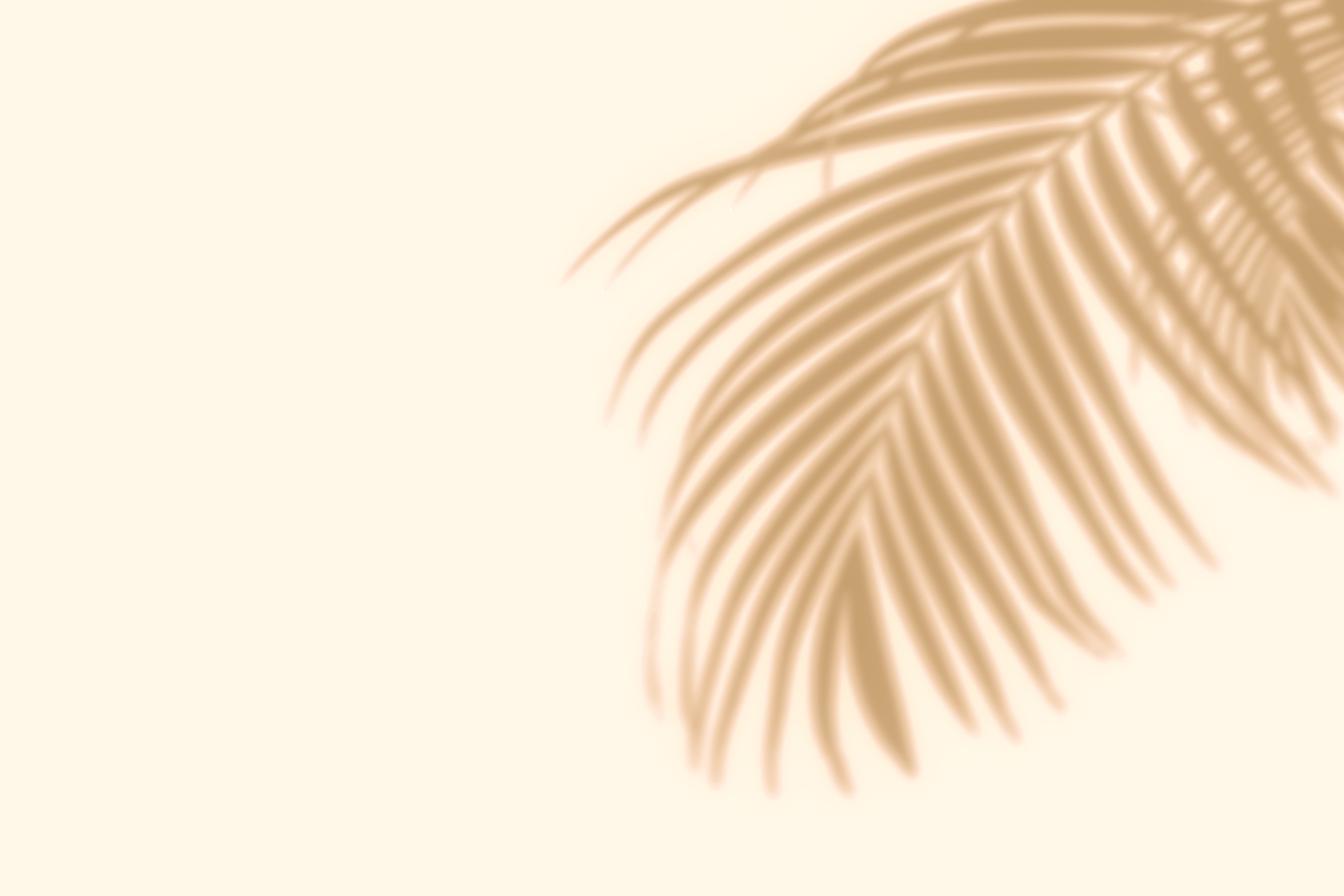 Beige Palm Shadow - Prism Props