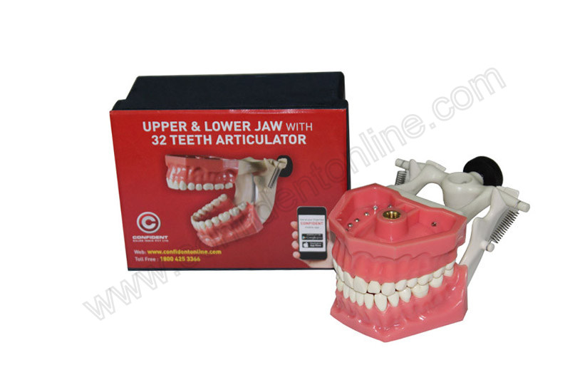 DENTAL JAW SET WITH ARTICULATOR - AJT32A1 - Confident Sales India ...