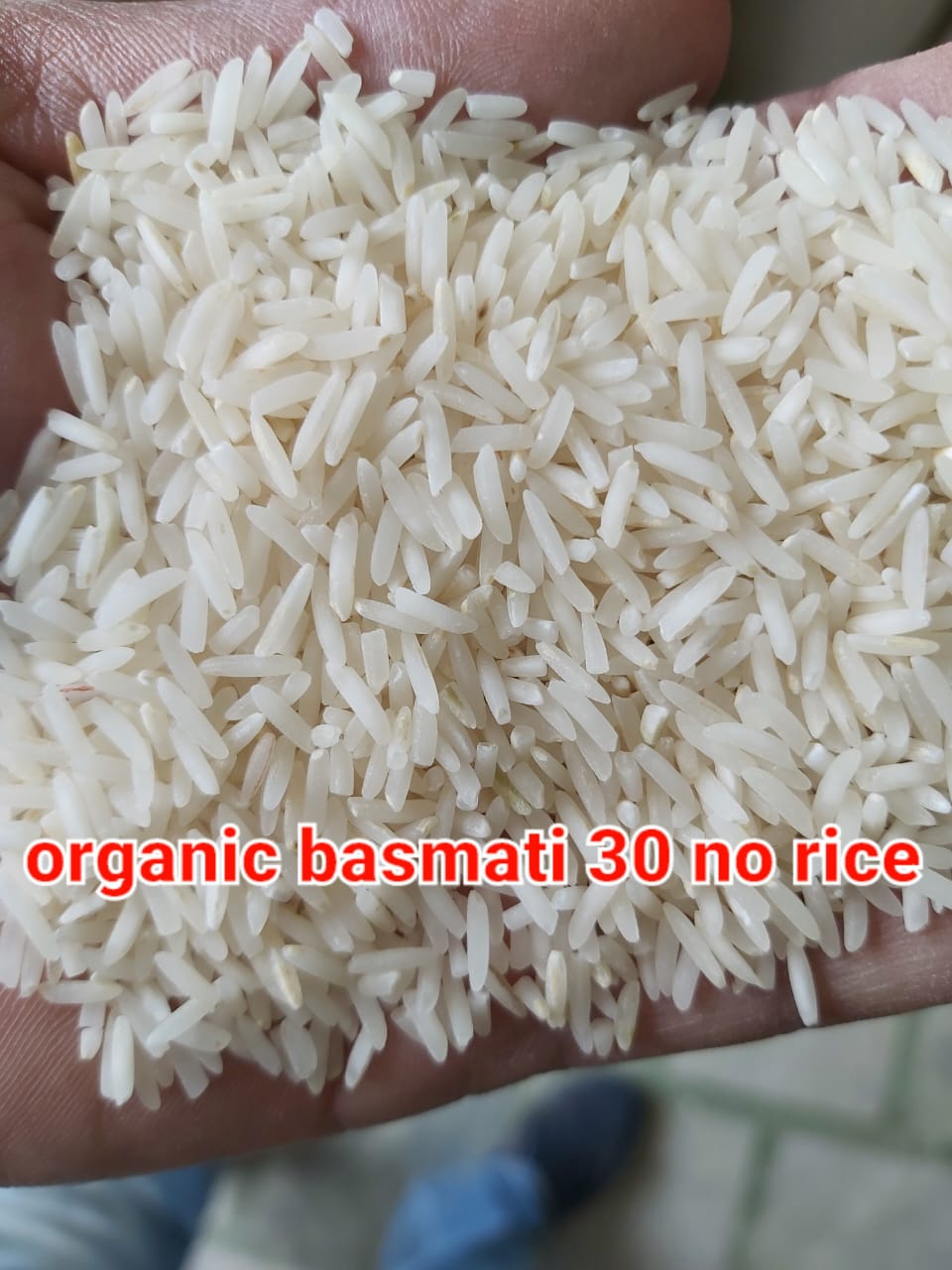 Organic Basmati Rice (Semi Polished) - Shudh Farm (Prakritikshala India ...