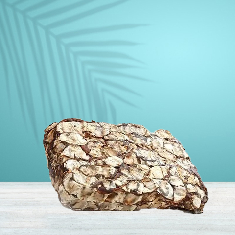 Buy Nayam Puli / Tamarind / நயம் புளி Online