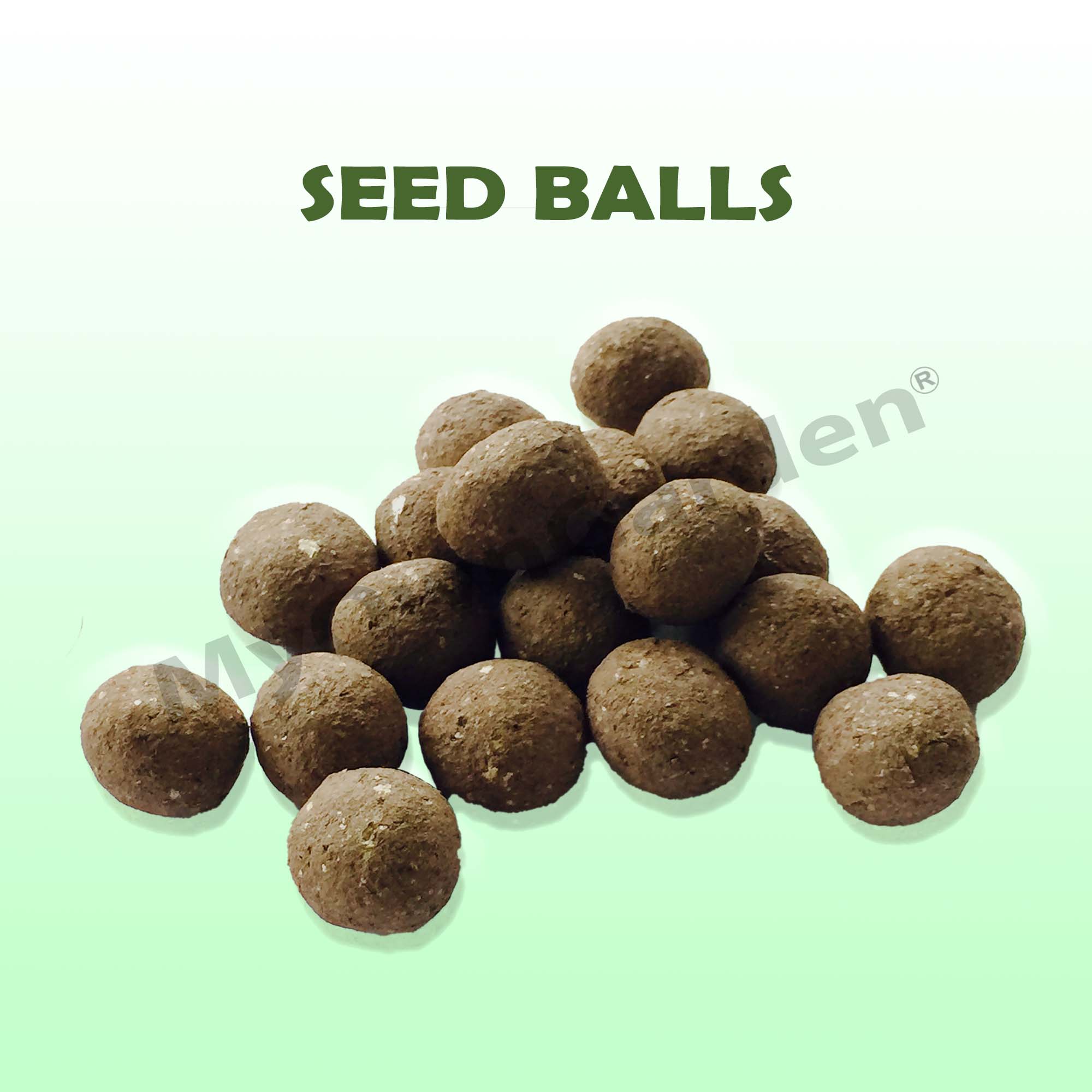 Seed Ball in Chennai | Cheabest price and quality