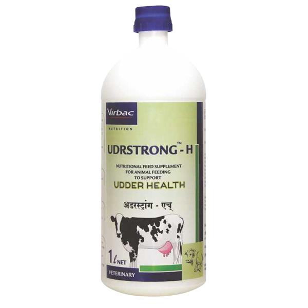 Udderstrong-H Liquid: Nourishing Udder Health for Happy and Productive ...