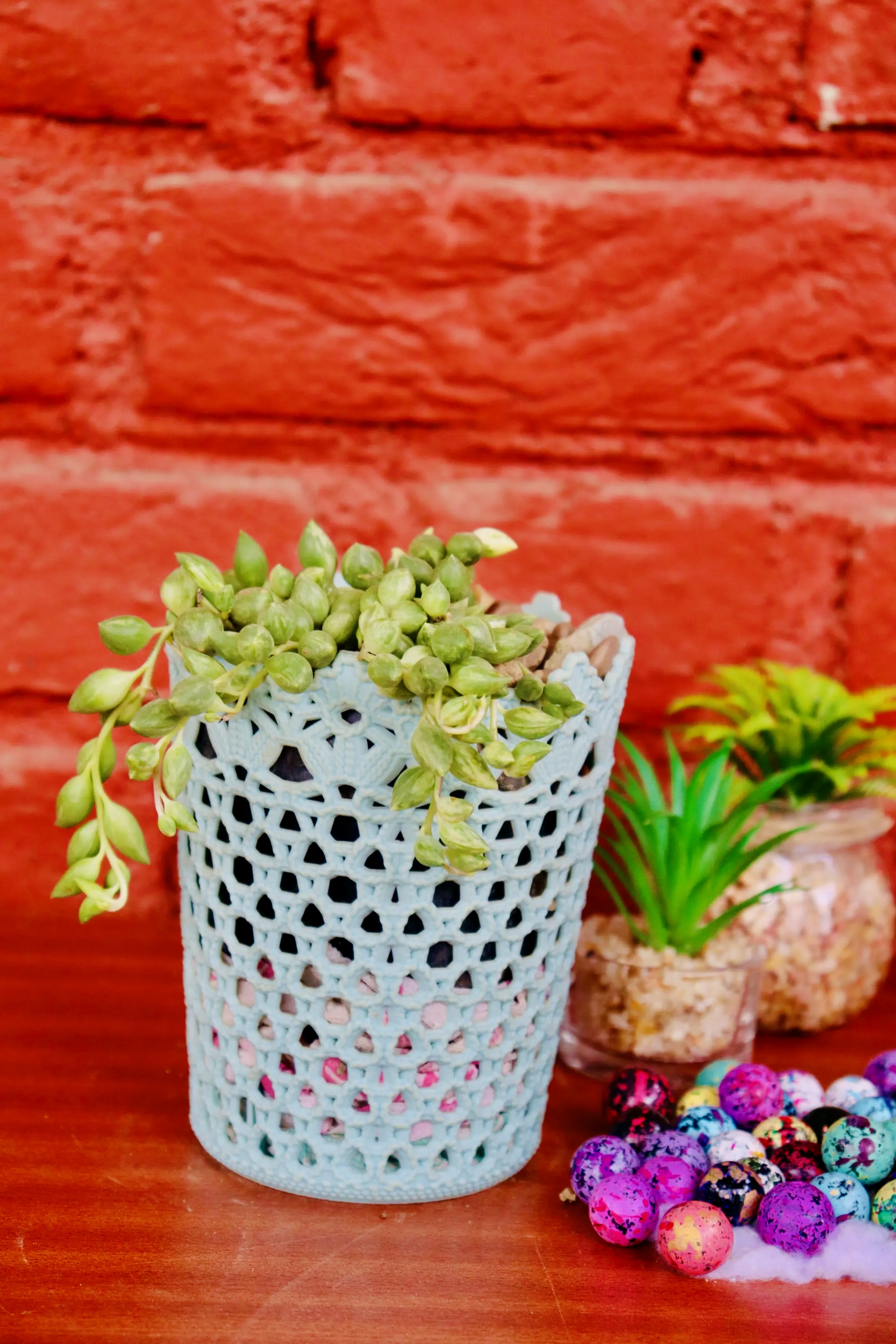Variegated String Of Tears - RP Floritech