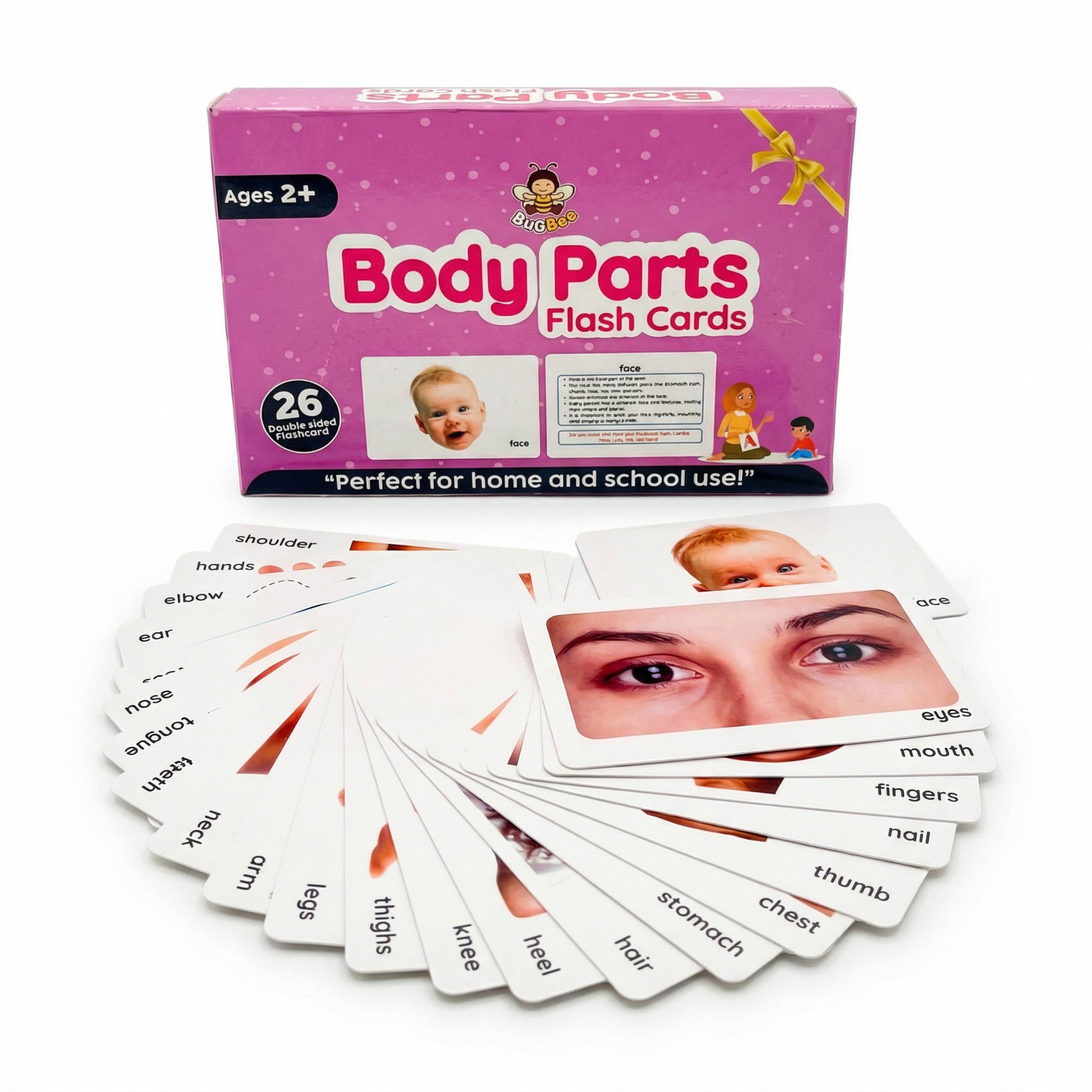 Body Parts Flash Cards for Kids with Pictures | Preschool Learning Cards