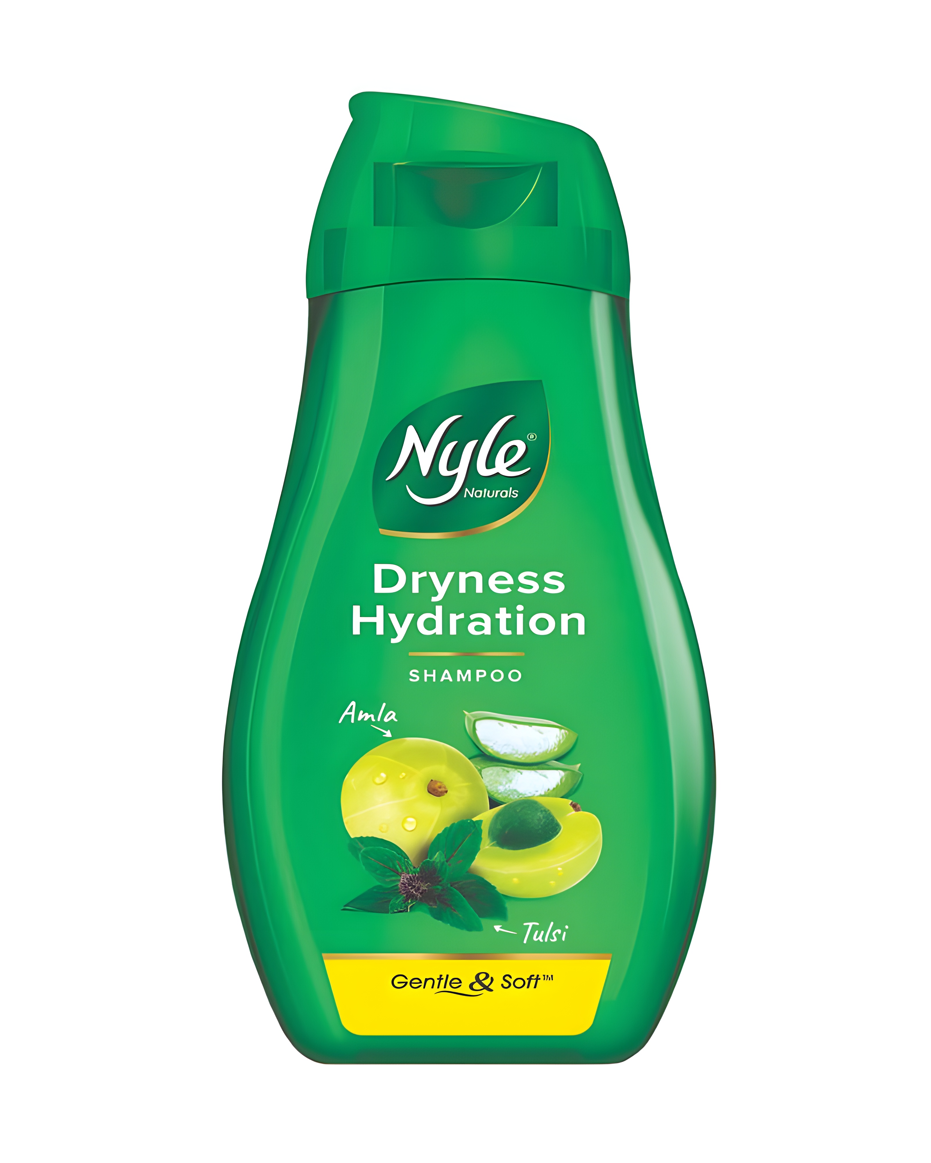 Nyle Naturals Dryness Hydration Shampoo, with Tulsi, Amla and Aloe Vera ...