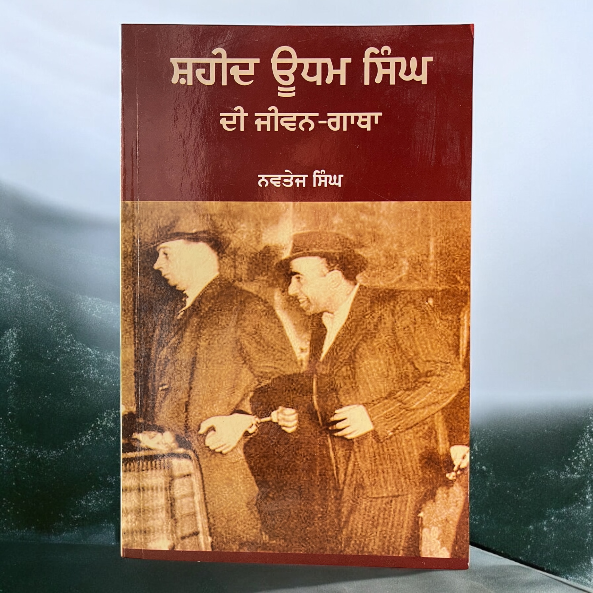 shaheed udham singh di jeevan gatha - navtaj singh - khari kitab