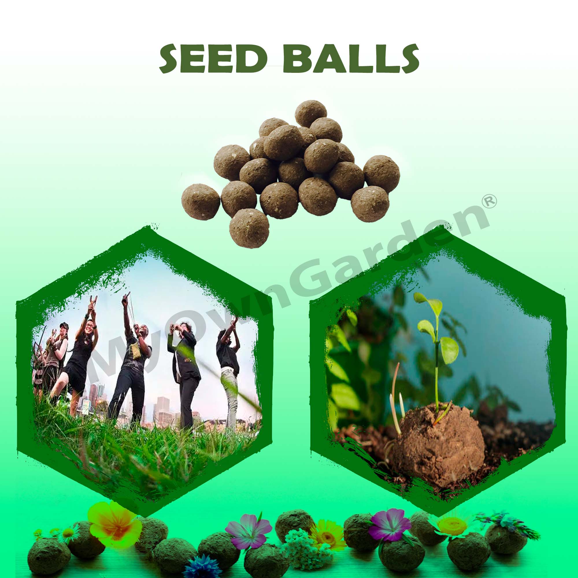 Tree Seed Ball - 300 Nos - MyOwnGarden Agri Products
