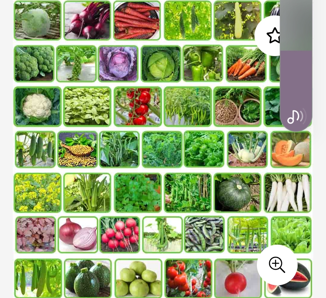 Organic Seeds - Agriculture