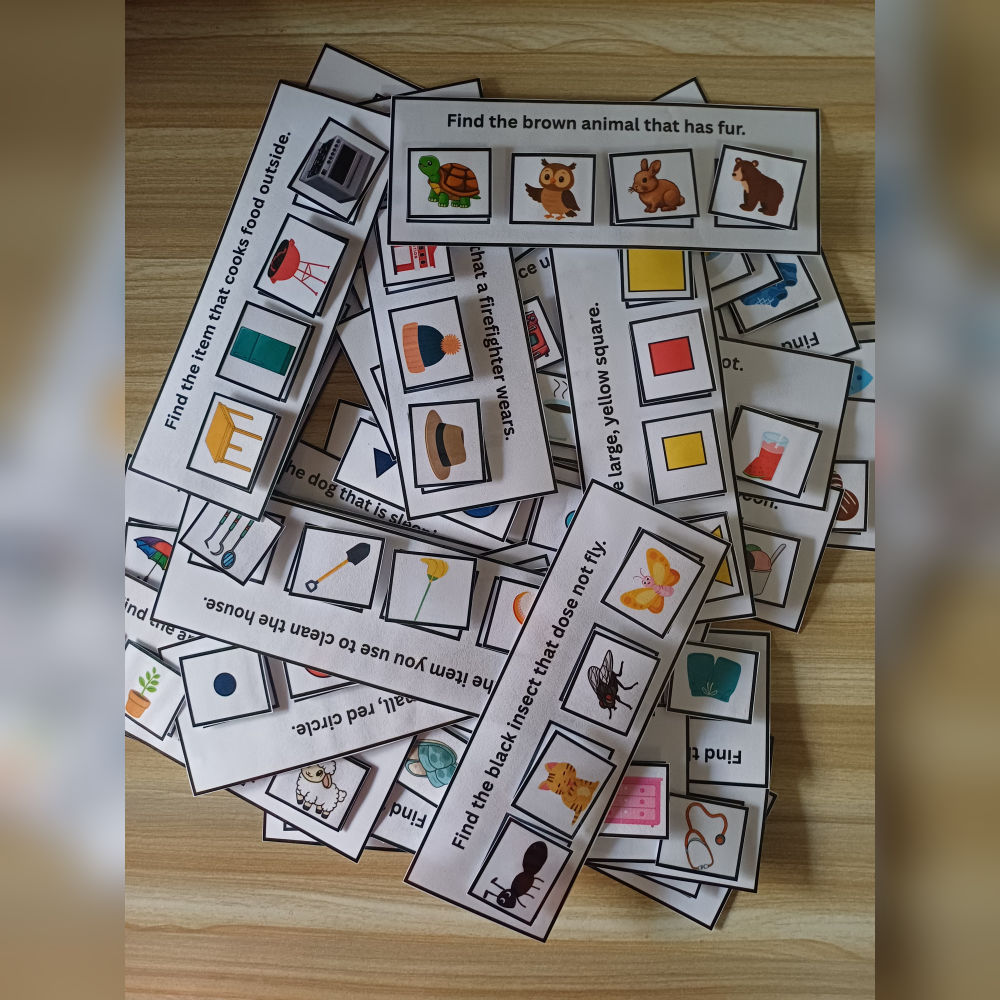 Receptive Language Cards - Kidy Books