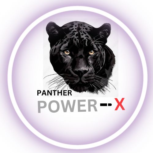 Panther Power-X - Online Store