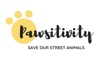 pawsitivity - Online Store
