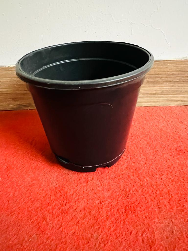 Black Pot 6'' - RP Floritech