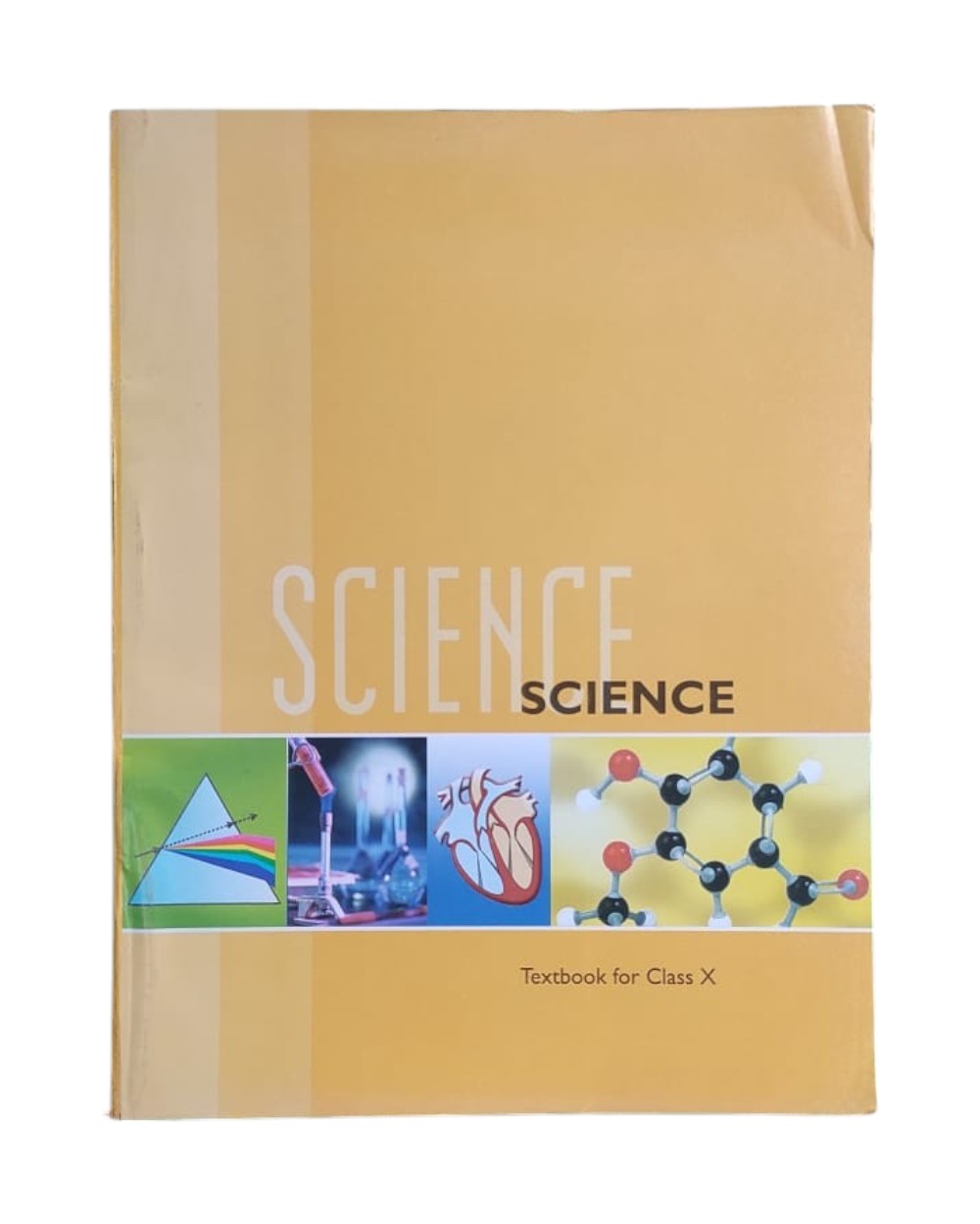 NCERT Science Class 10 - AB Gallery