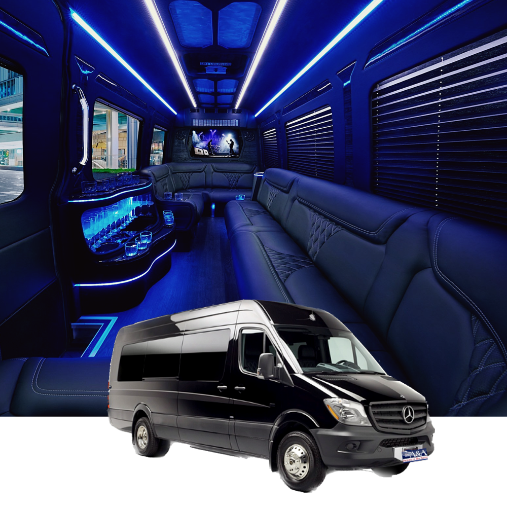 Luxury Sprinter Van Rental - 11 Passenger - Luxury Sprinter Van Rentals