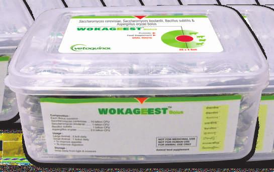 Wokageest Bolus: Restoring Appetite, Digestion, and Health. Probiotics ...