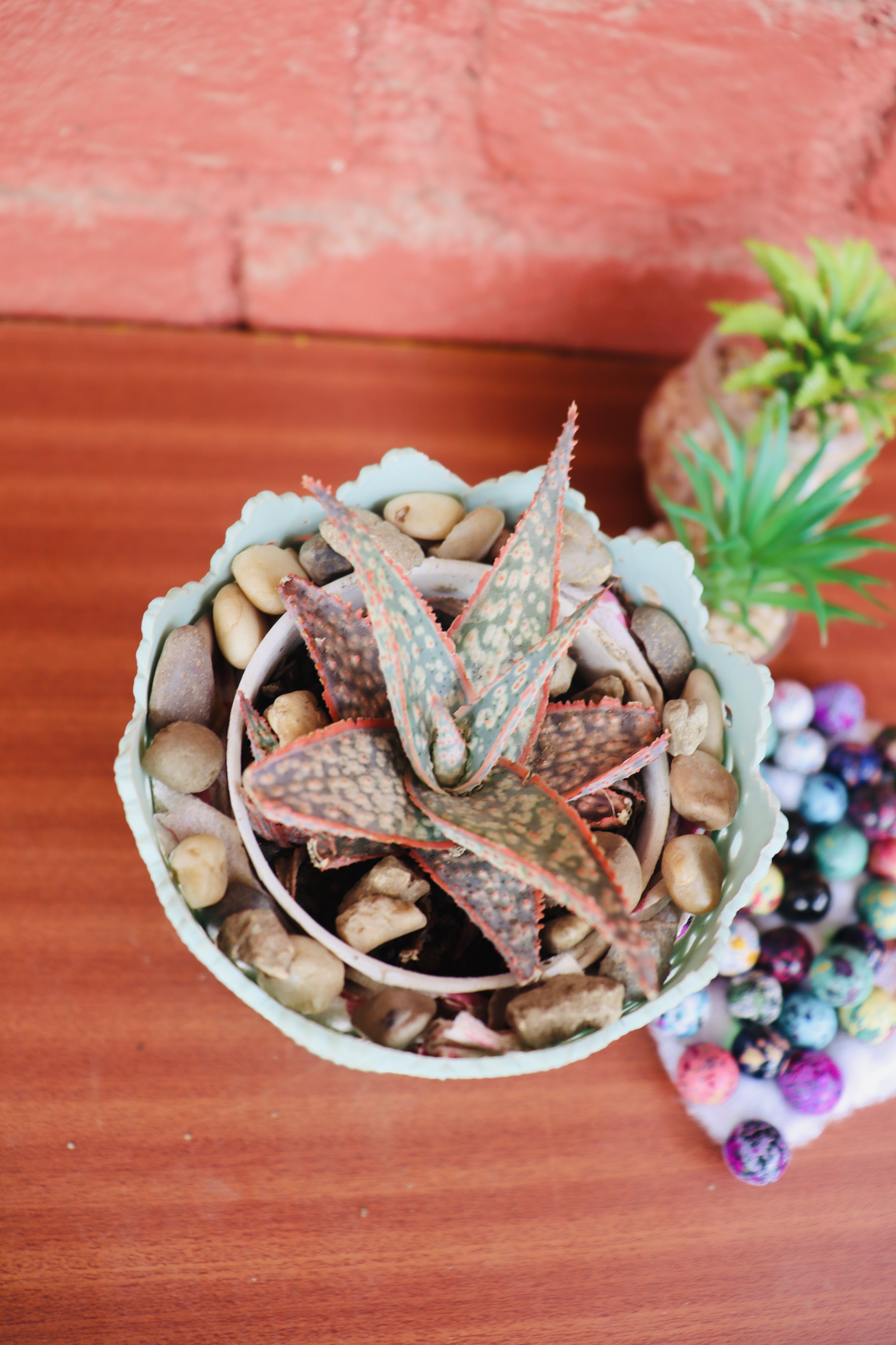 Red star - RP Floritech