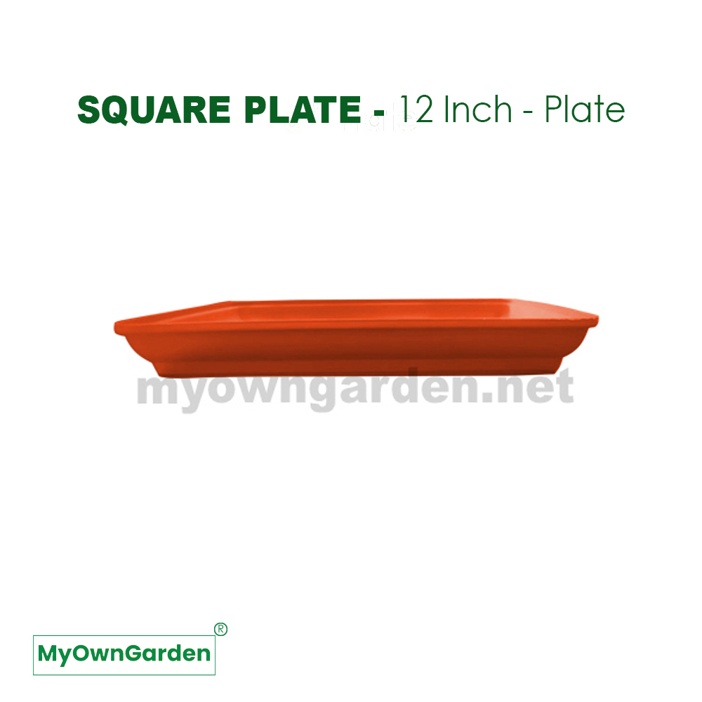 Premium 12-Inch Square Tray for Pot Drainage