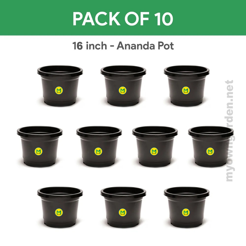 16 Inch Ananda Pot - Black - Pack Of 10 - MyOwnGarden®