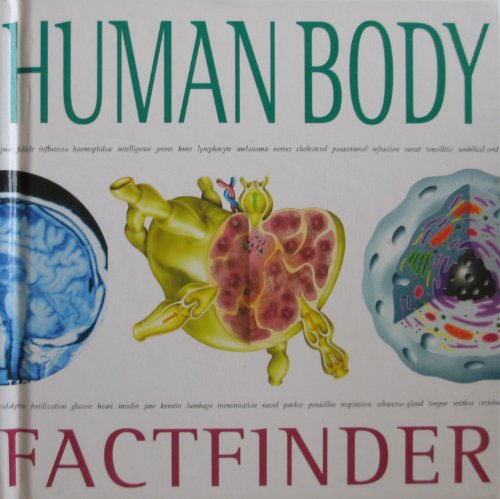Human Body (Factfinder)