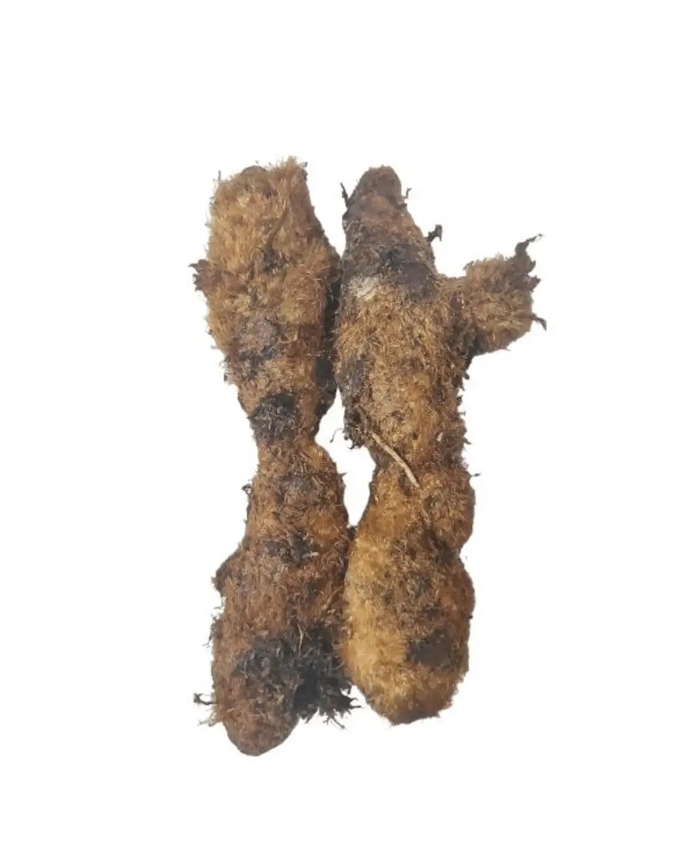 Mudavattukal Kilangu (Oak Fern) (500 gm) - ATM Siddha Ayush Store